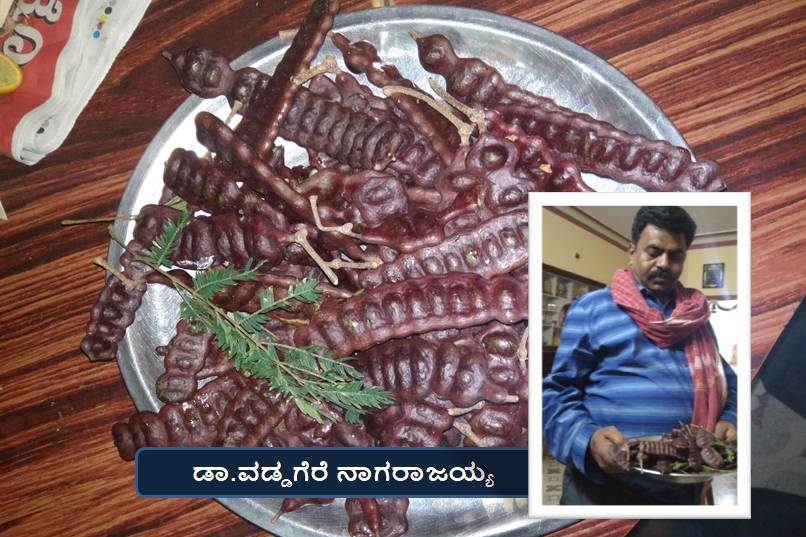 ಇದು ಸೀಗೆಯ ಕಾಲ – ಡಾ.ವಡ್ಡಗೆರೆ ನಾಗರಾಜಯ್ಯ | ಆಕೃತಿ ಕನ್ನಡ